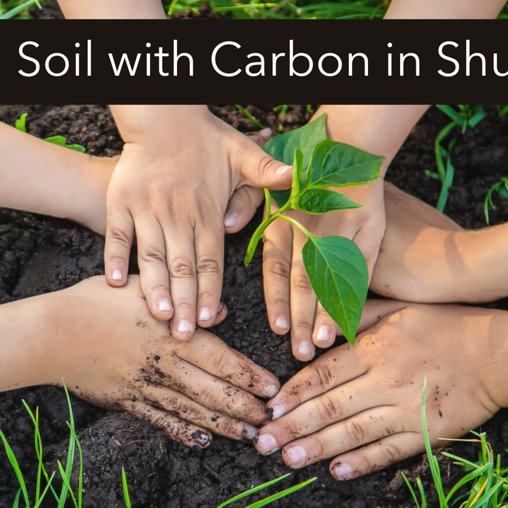 Authentic Fine Shungite Powder | Natural Organic Mineral | Bulk 3.5 oz ...